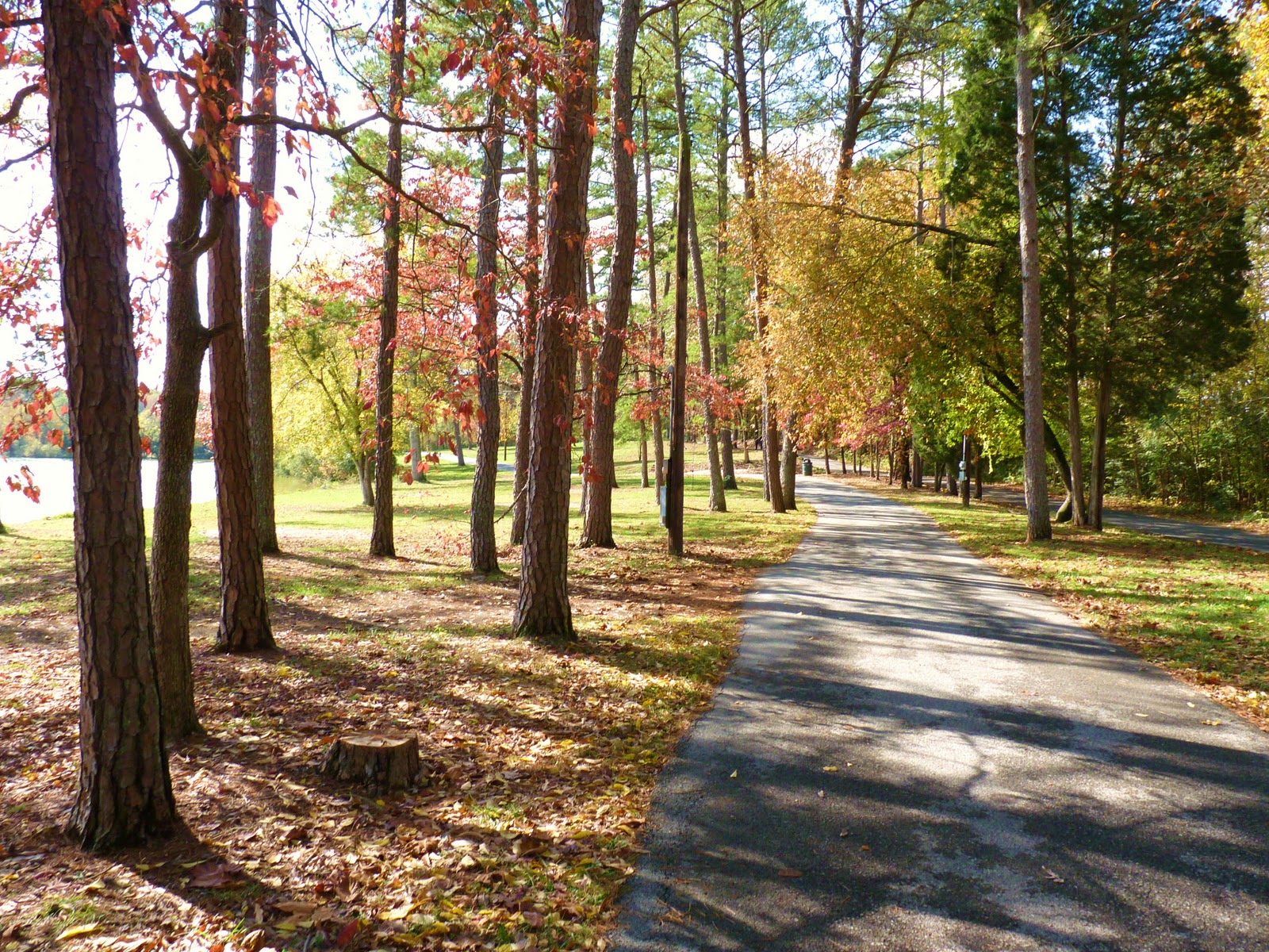 At the Butterfly Ball: Birthday at the Park