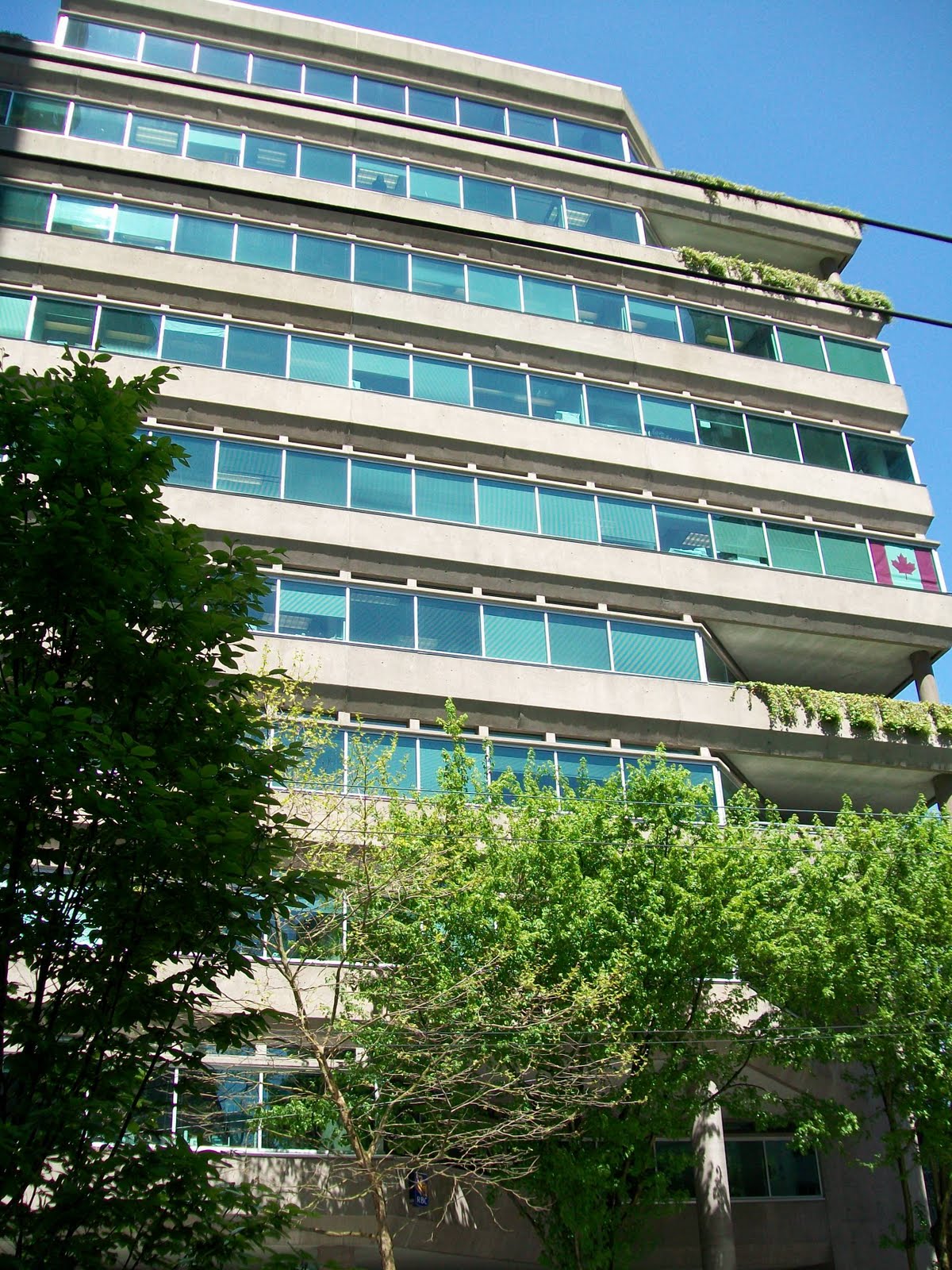 Vancouver Voyager: Erickson's Evergreen