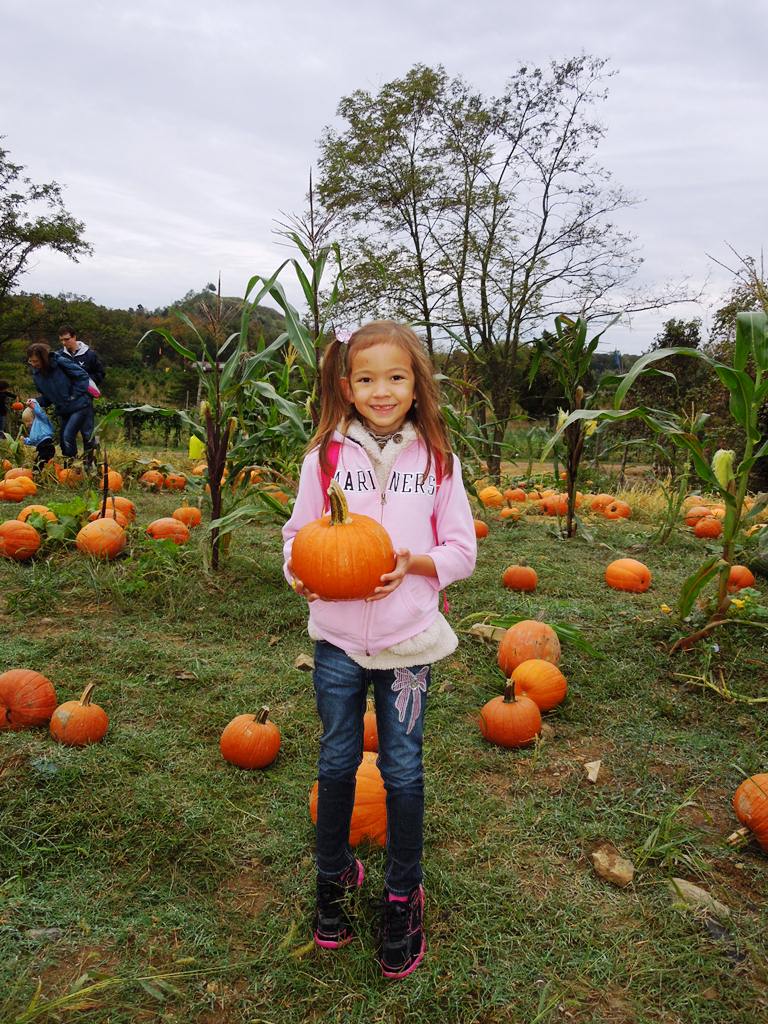 A Curmudgeon Abroad : Pumpkin Patch Kids