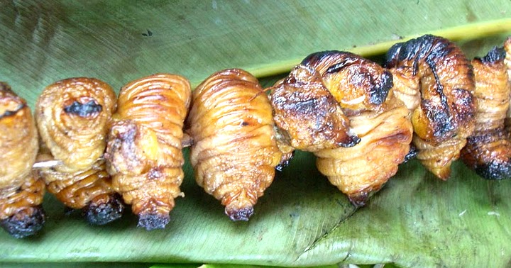 ¡Seño una brocheta de Gusanos y dos platos de hormigas para llevar ...
