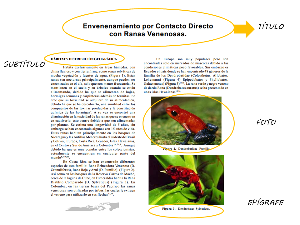 CONTA'M UN CONTE: PARATEXTOS