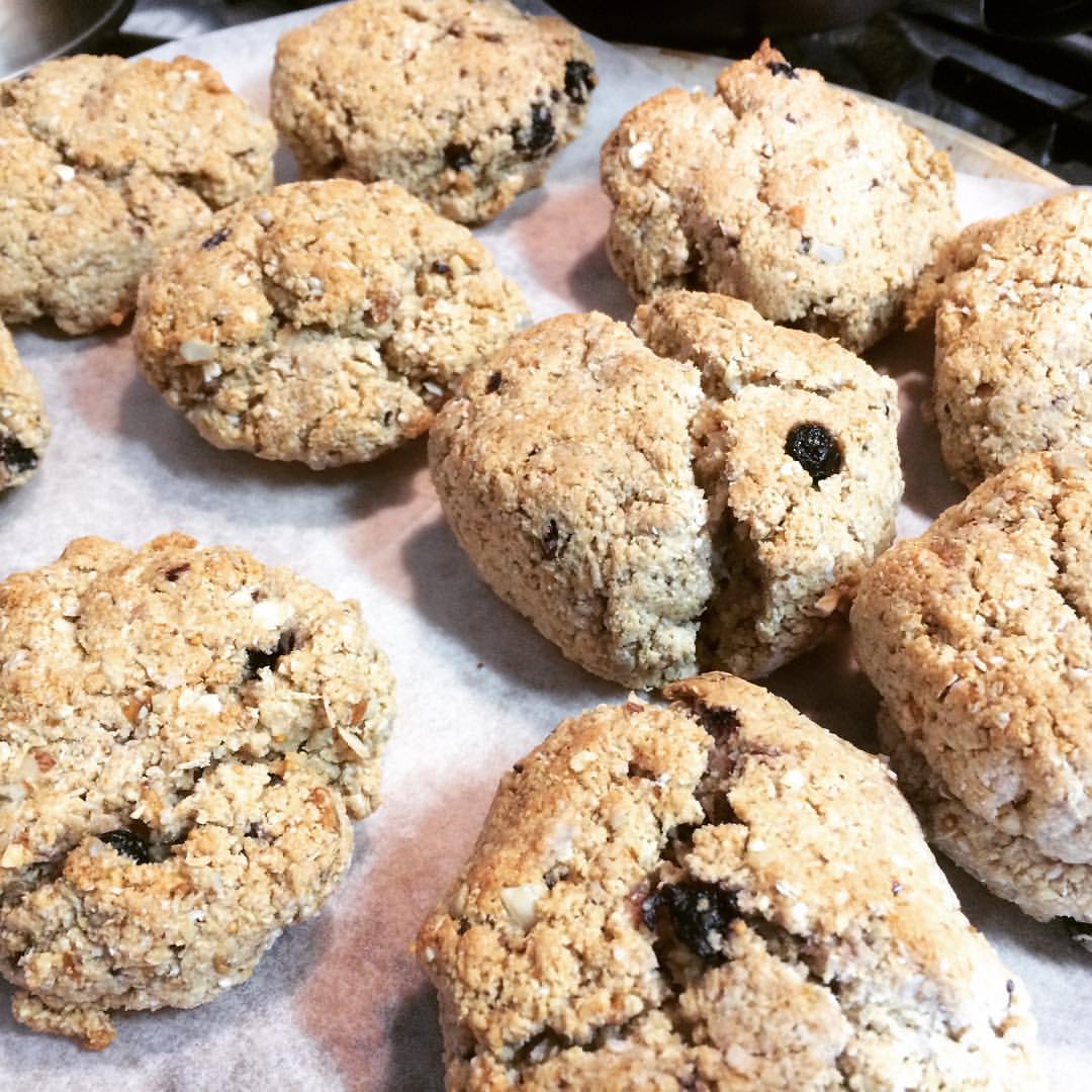 Our Adventures in Japan: okara scones