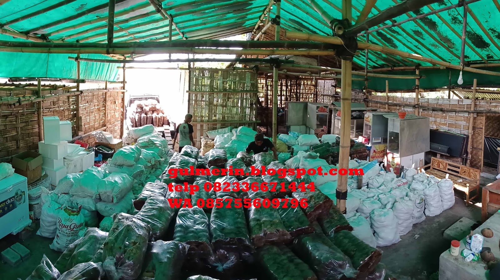 GULA MERAH INDONESIA: PROFIL