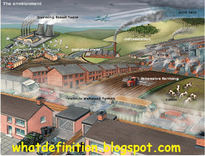 definitions defining: what is the best definition of environment for ...