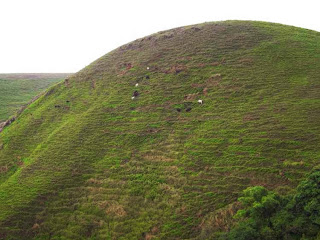 MAMBILLA PLATEAU ~ 3OnTour