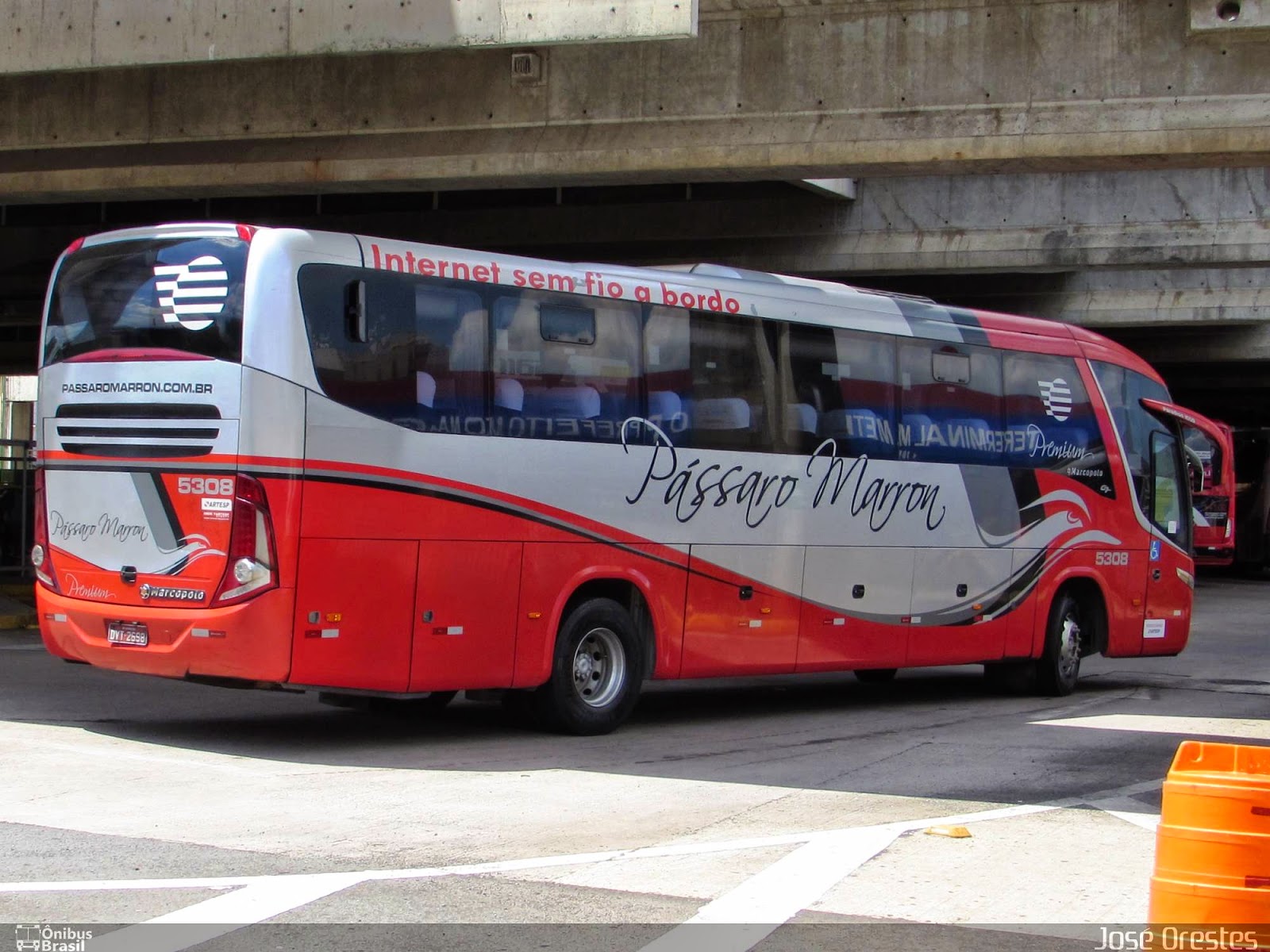 Litoralbus10: Pássaro Marron e Litorânea colocam 19 novos ônibus em ...