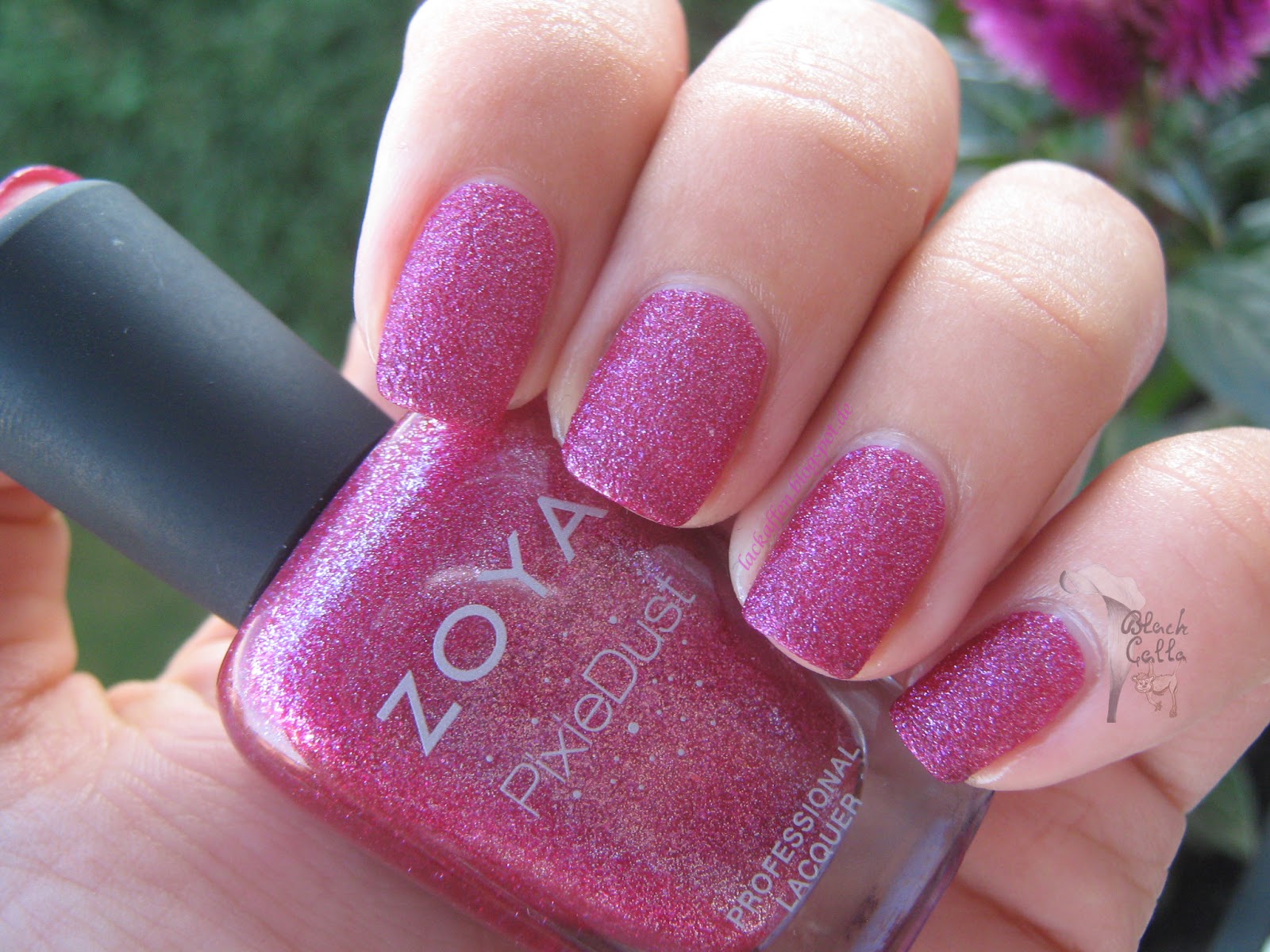 Zoya Miranda Vs Arabella