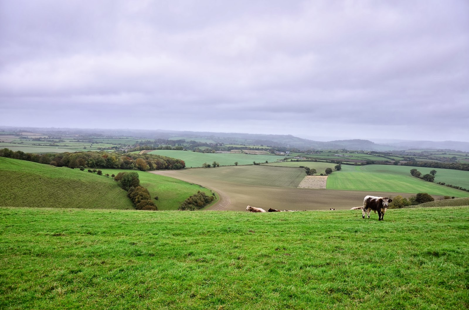 Salisbury Plain ~ Gelände Straßetastic