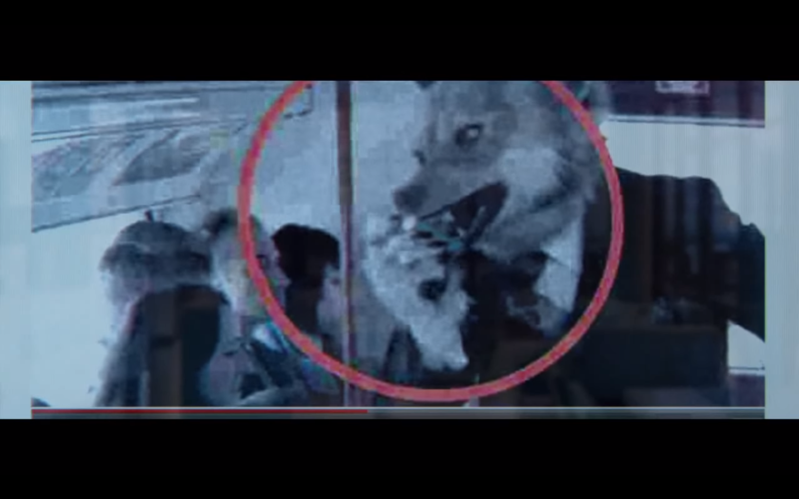 Three Little Pigs: The 2012 advert by the Guardian newspaper (Three ...