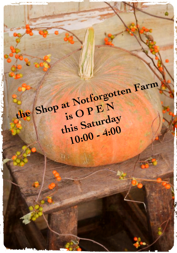 Notforgotten Farm : September 2017