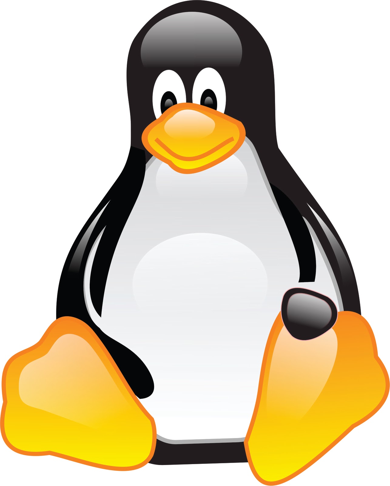 puky: trabajos de corel draw