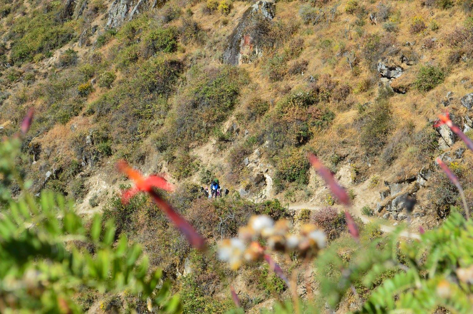 camino de herradura a Rupac