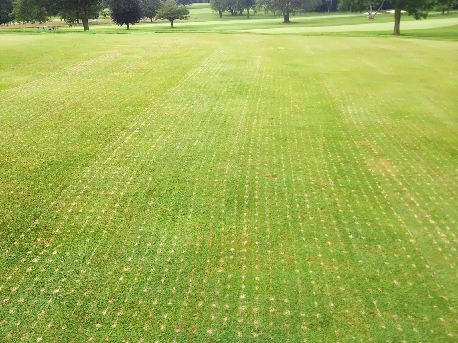 Golf Course Maintenance : Dryject
