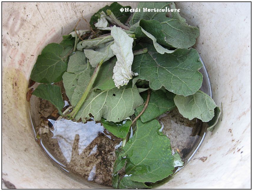 Heidi Horticulture: Compost Tea - Organic Fertilizer