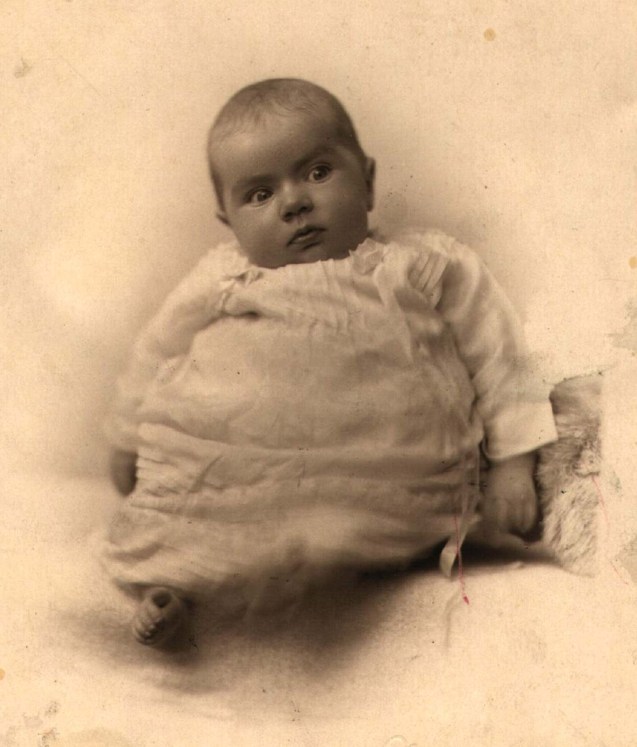 Moments in Time, A Genealogy Blog: Identifying Baby Pictures
