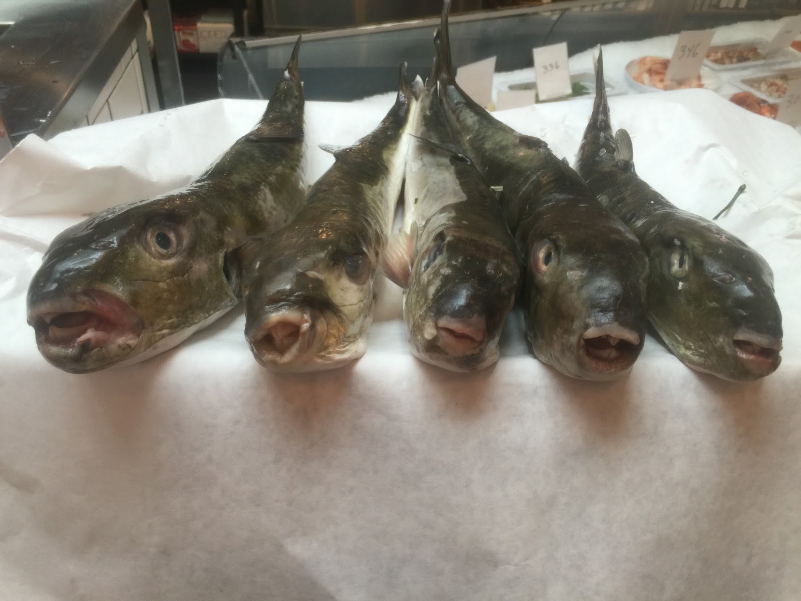 The Edible Ocean: I'll Take The Puffer, Hold The Poison