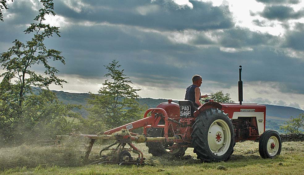 CABINET OF CURIOSITIES: Haymaking in Teesdale