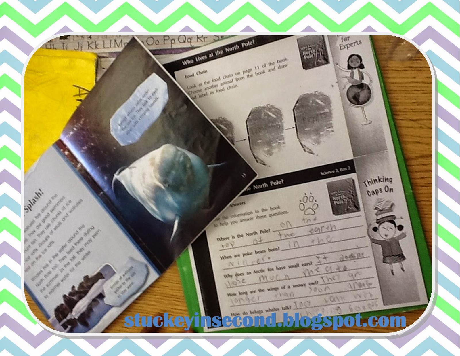 Stuckey in Second: Workstation Wednesday: Scholastic Brain Bank