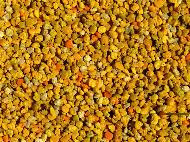 La Familia de la Apicultura - The Beekeeping Family: Composición del ...