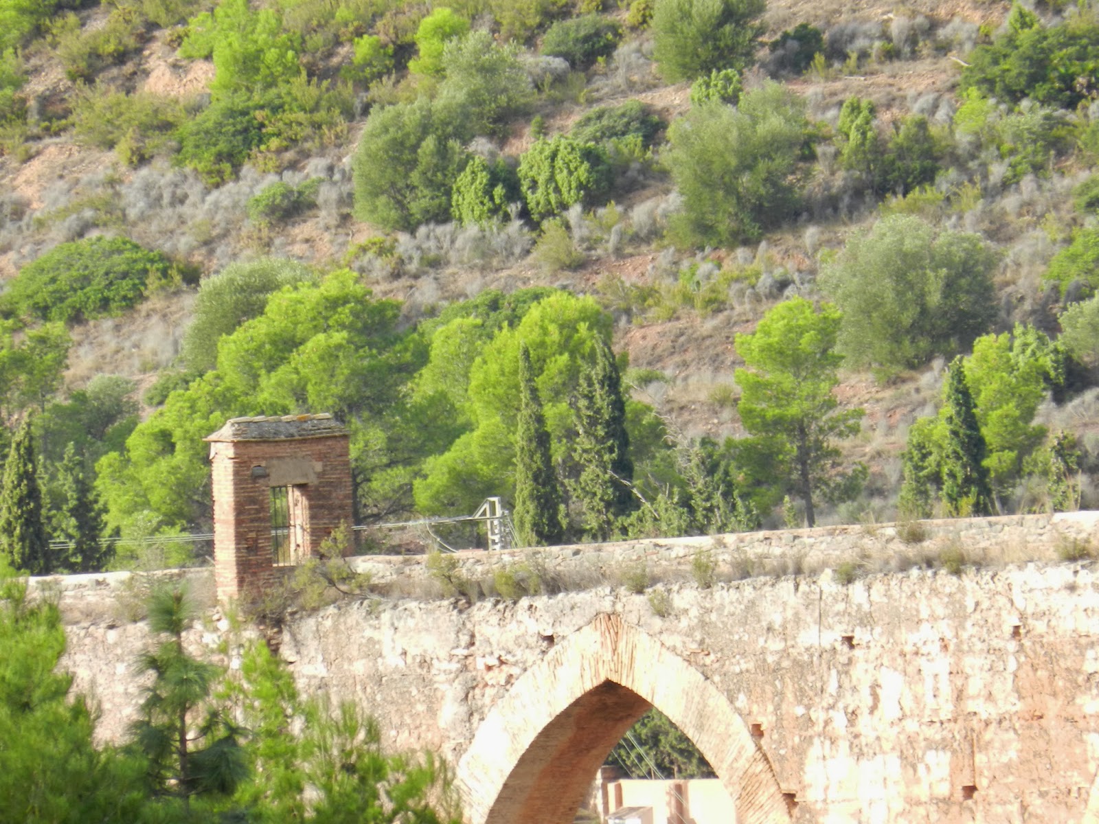 Senderismo y botánica: Cartuja de Portacoeli - Coveta de la virgen Inés ...