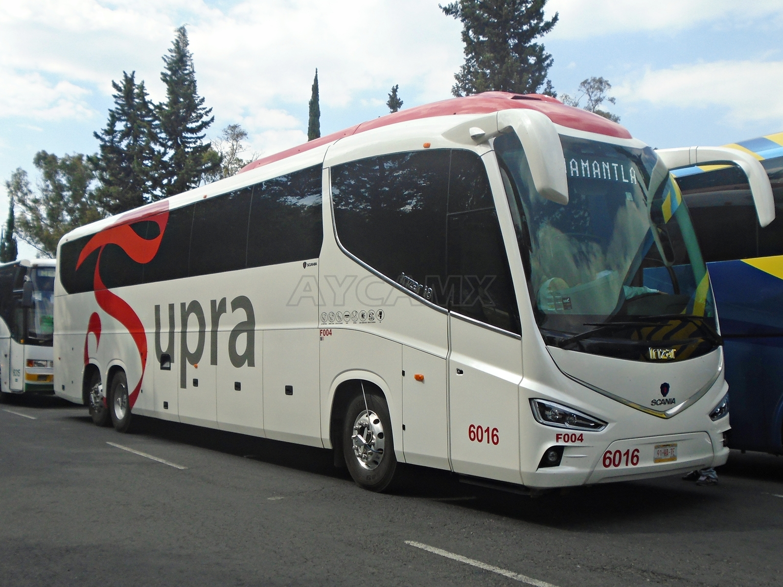 AYCAMX - Autobuses y Camiones México : Autobuses Foráneos 355. Supra