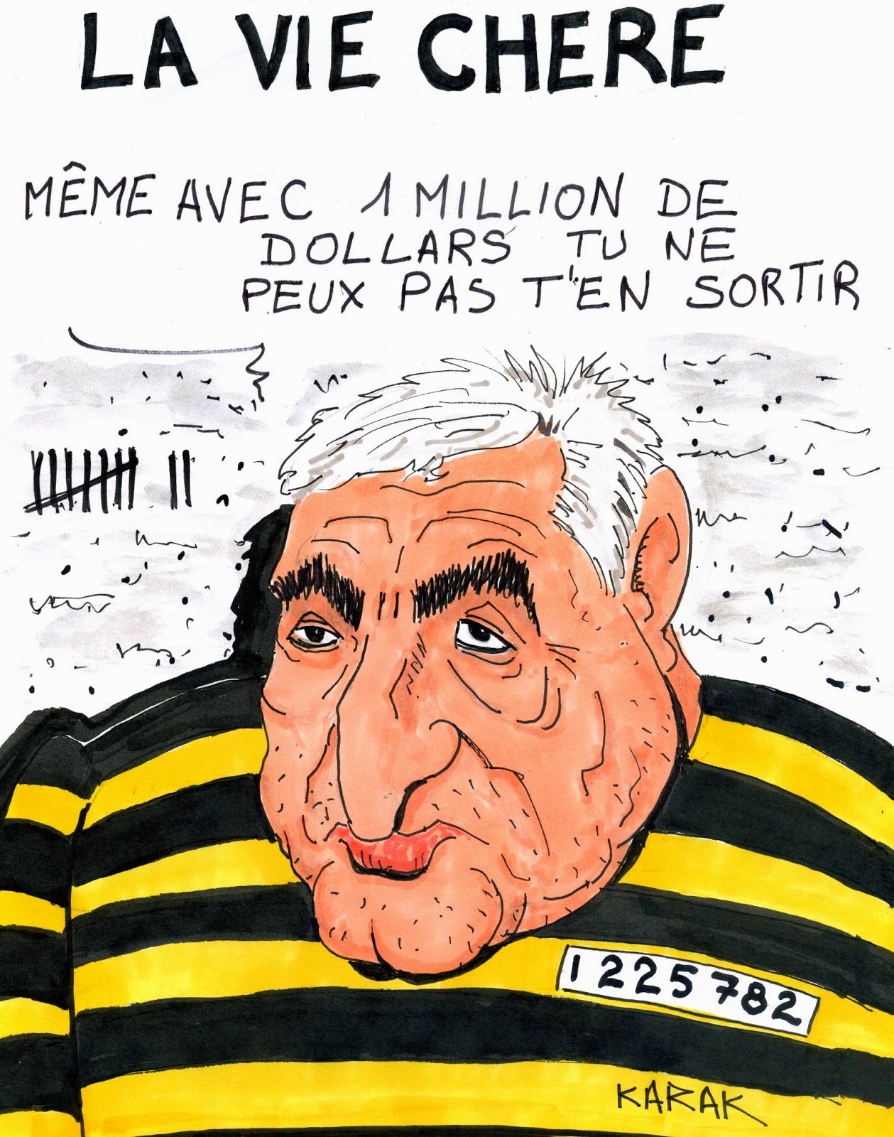 LES MEILLEURS DESSINS DE KARAK: Salut à DSK