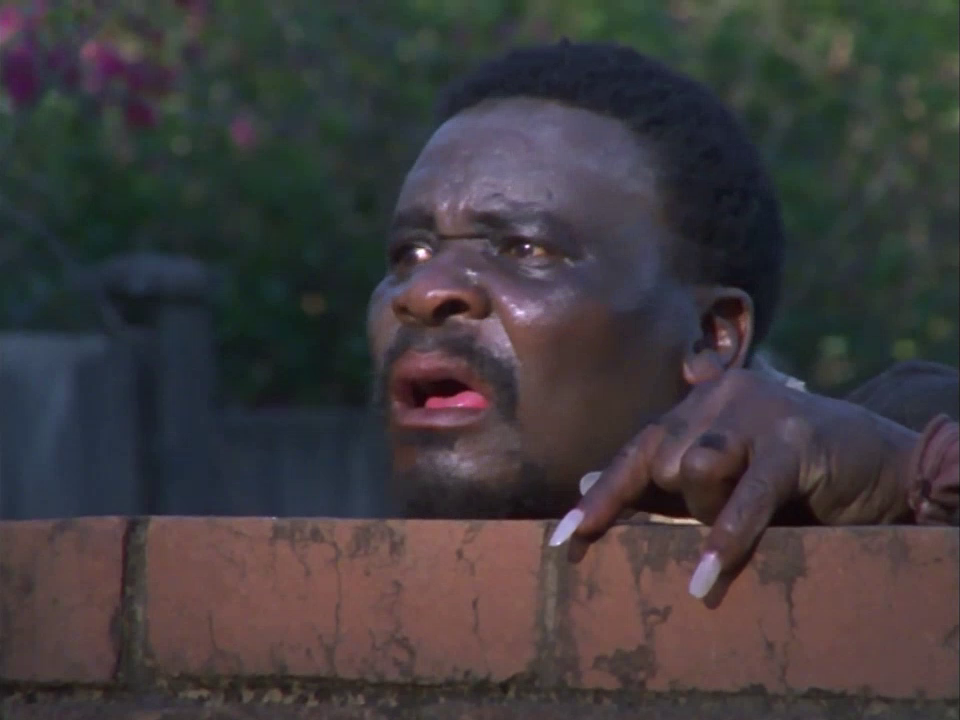 The Department of Afro American Research, Arts and Culture