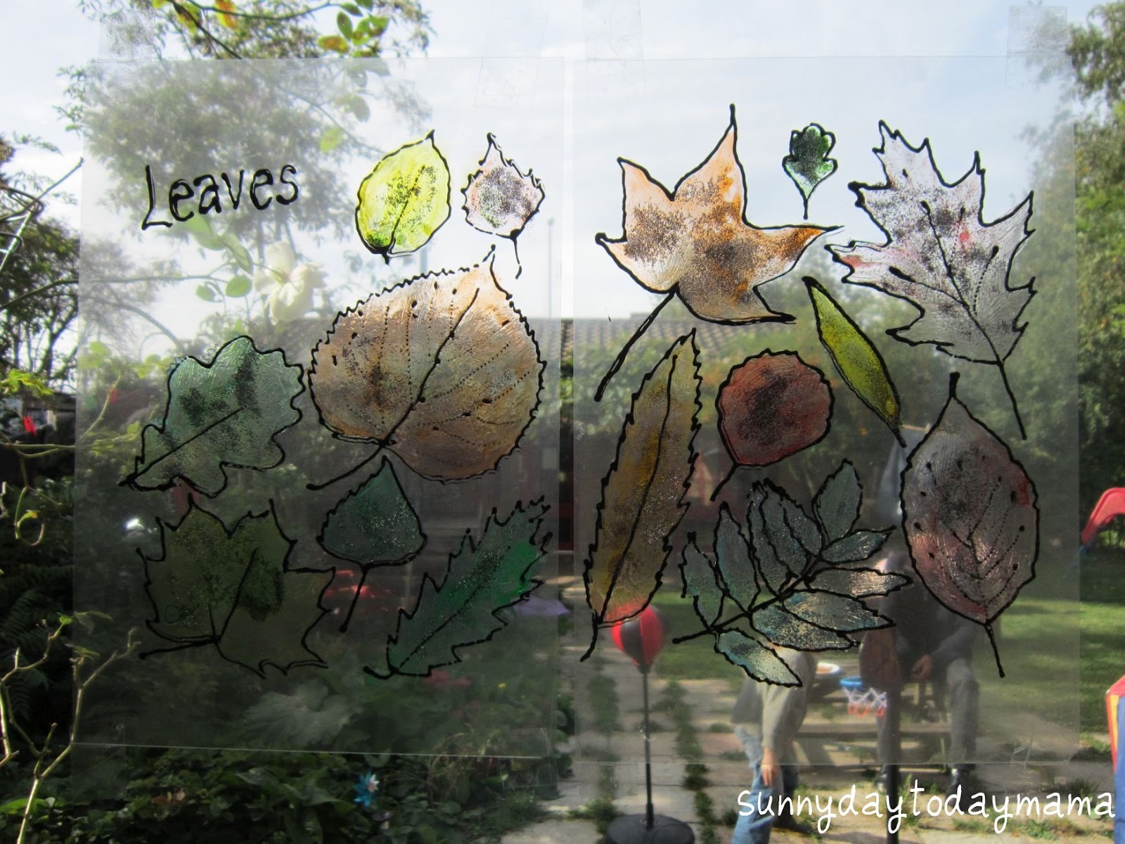 sunnydaytodaymama: Autumn leaves window display