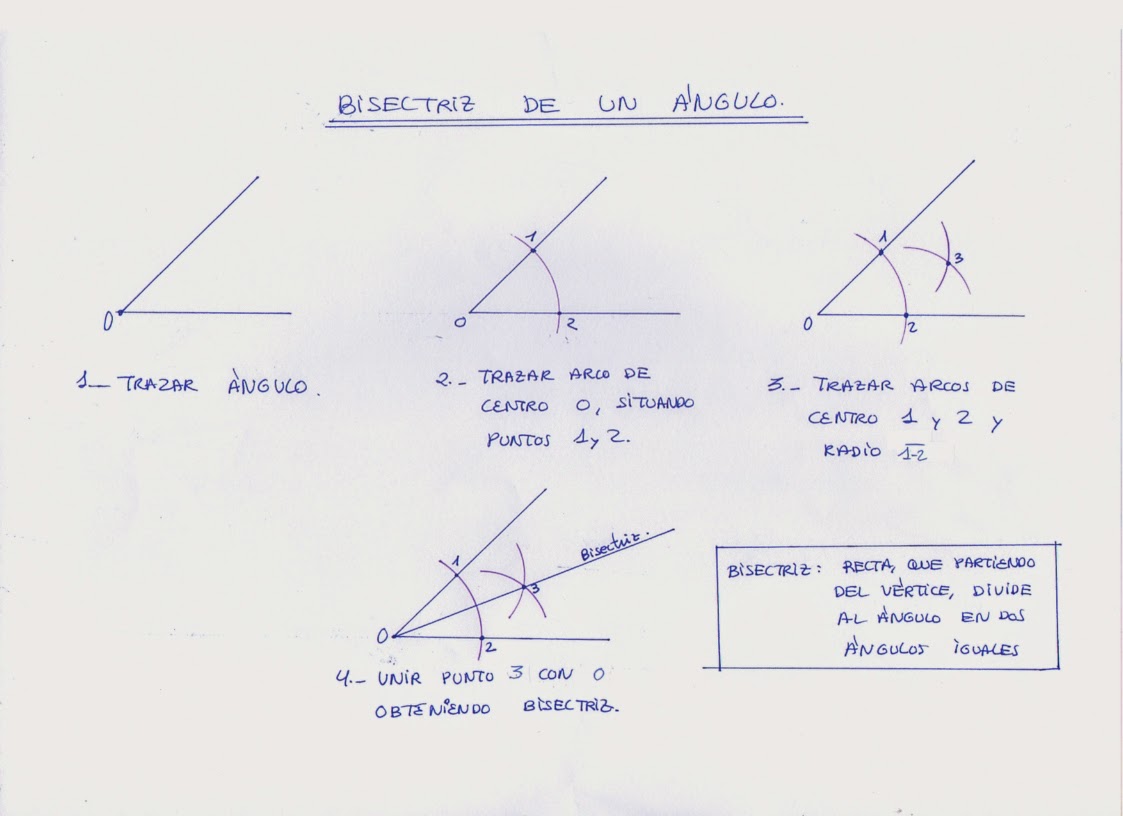 Plástica 12: BISECTRIZ