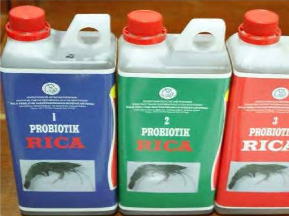 KOMUNITAS PENYULUH PERIKANAN: Peningkatan Produksi Udang Windu di ...