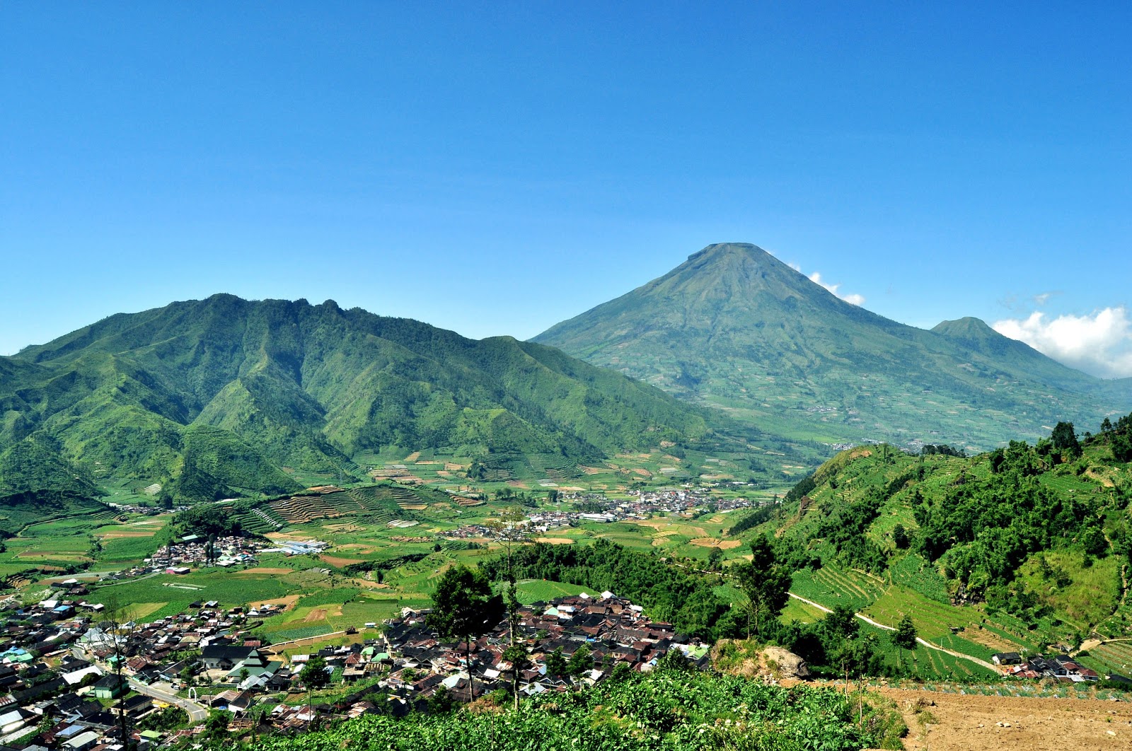 Kegiatan: Kabupaten Wonosobo
