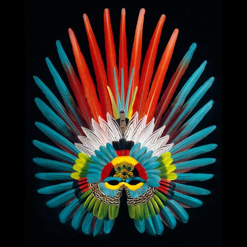 FEATHER ART - PAINTINGS | It's all about the THE LIFE THEORY - laugh as ...