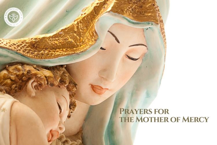 Theotokos' Heart: February 2018