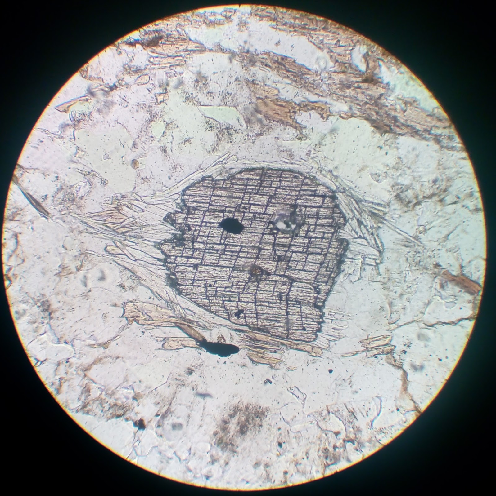 Learning Geology: 30+ Thin Section Photos That Will Develop Your ...