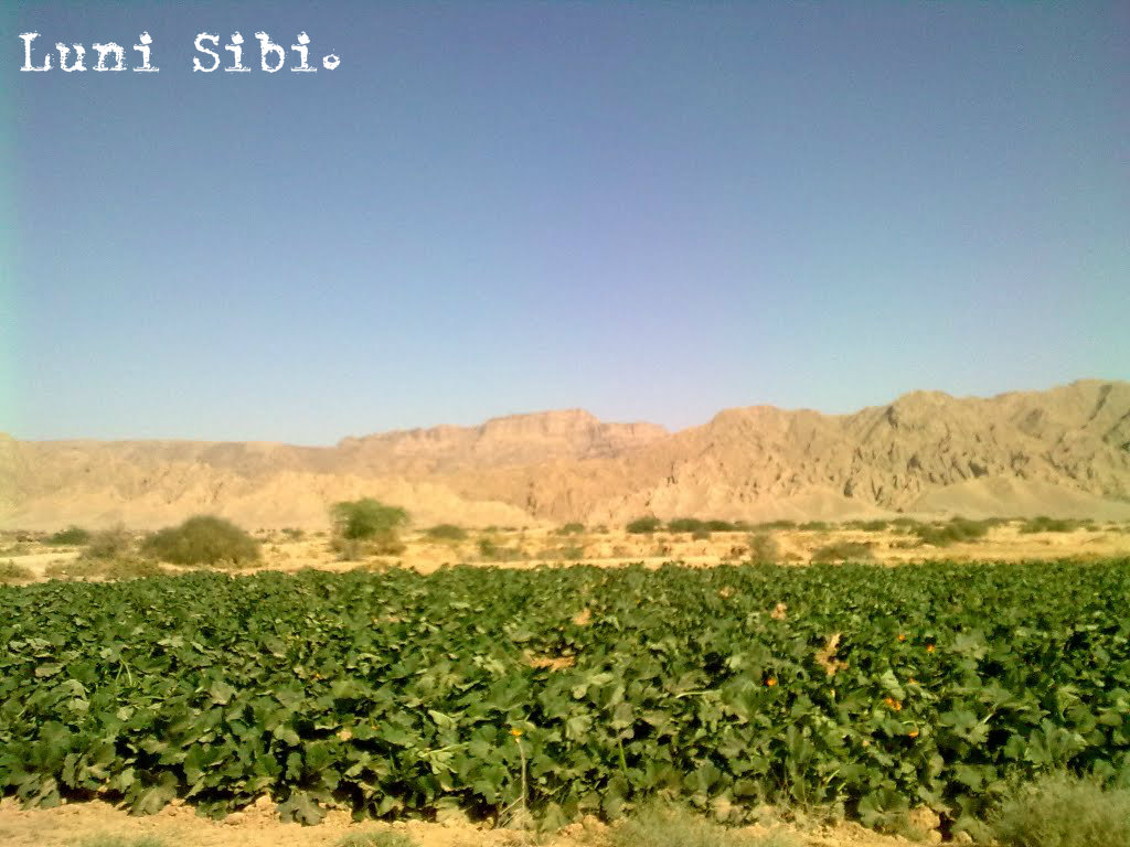 Sibi District of Balochistan Pakistan