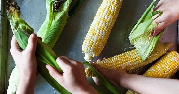 Shoreline Area News: How to buy corn at the Shoreline Farmers Market ...