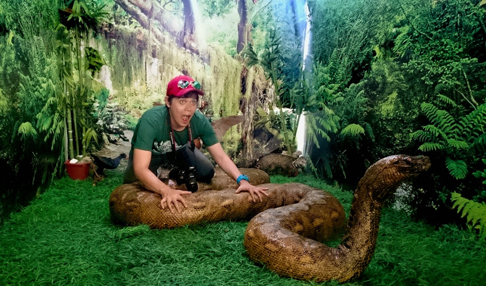 Sole Escape: Bohol Python Sanctuary and Mini-Zoo
