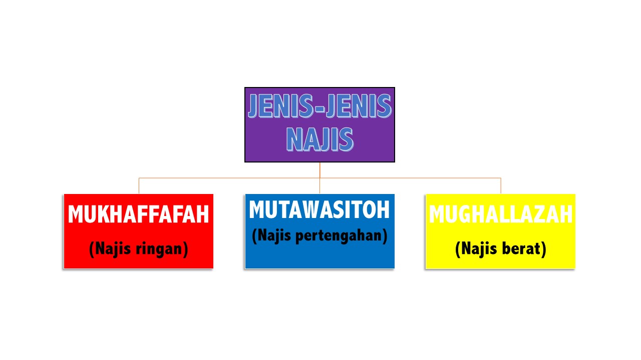 PELAJARAN FEQAH: BAHAGIAN-BAHAGIAN NAJIS DAN CARA MENYUCIKANNYA.