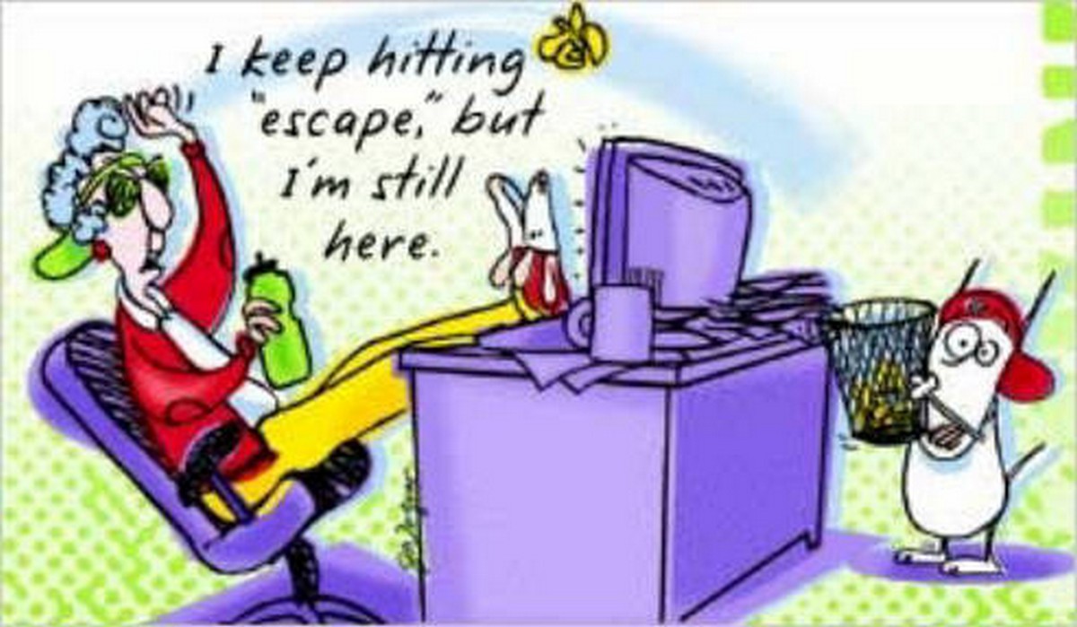 Chuck's Fun Page 2: Seven assorted, vintage Maxine cartoons