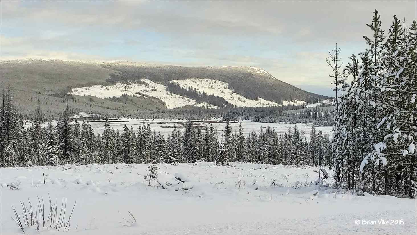 Northern Interior British Columbia: Winter's December 2015 Snowfall 2 ...