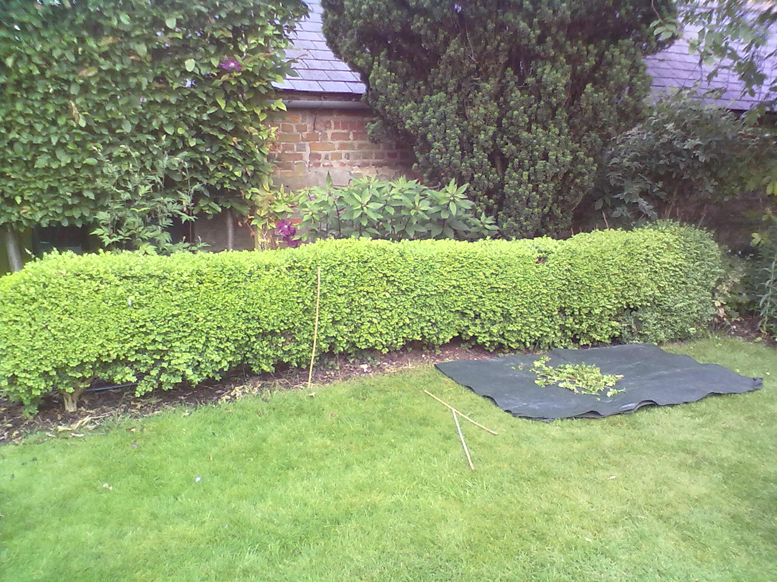 Square Hedge