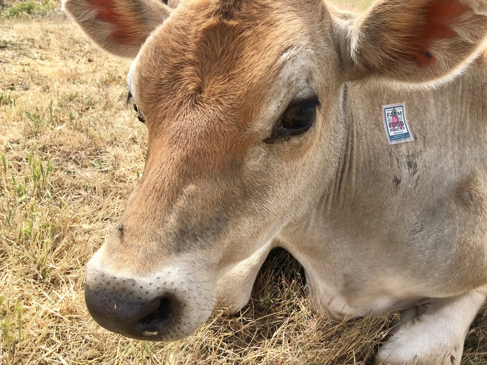 WSDA AgBriefs: Fighting hunger together