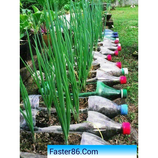 Pemanfaatan Botol Bekas Untuk Menjadi Barang Tepat Guna Dan Bermanfaat ...