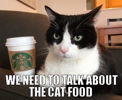 Great Cats Be Funny BLOG: Basic Cats are funny too, right?