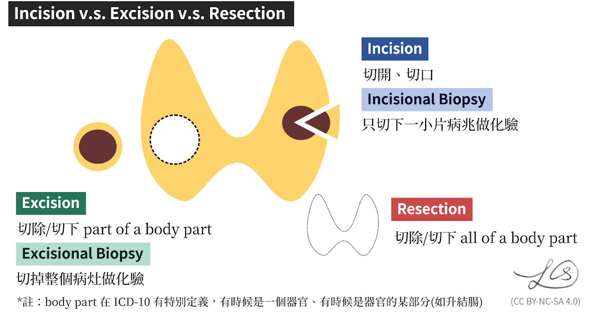 一張圖讓你看懂 Incision v.s. Excision v.s. Resection 差在哪裡