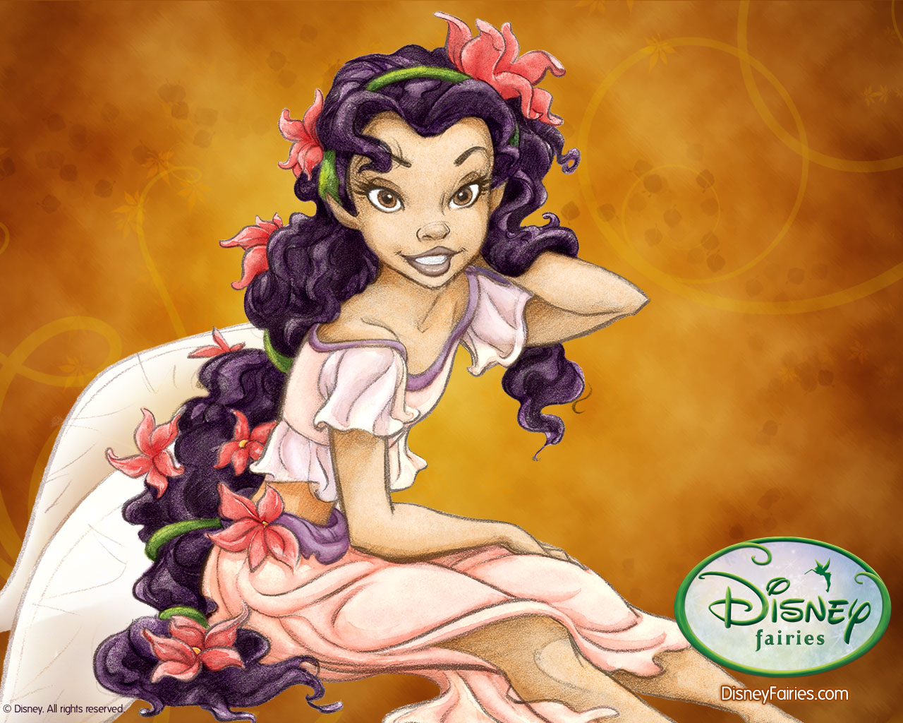 ilustracoes: Wallpapers das Fadas Disney / Disney Fairies wallpapers