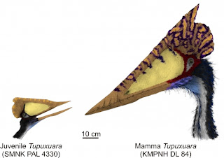 Extinct Animal of the Week: March 2012