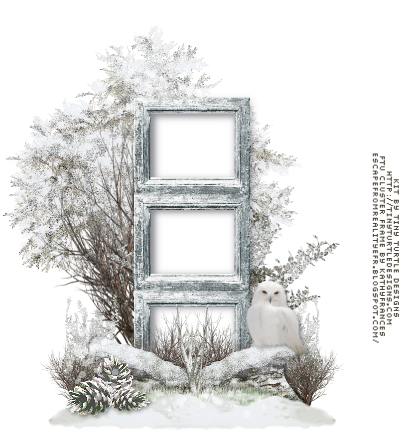 Escape From Reality Blog: FTU Cluster Frames 'Winter Warmth'