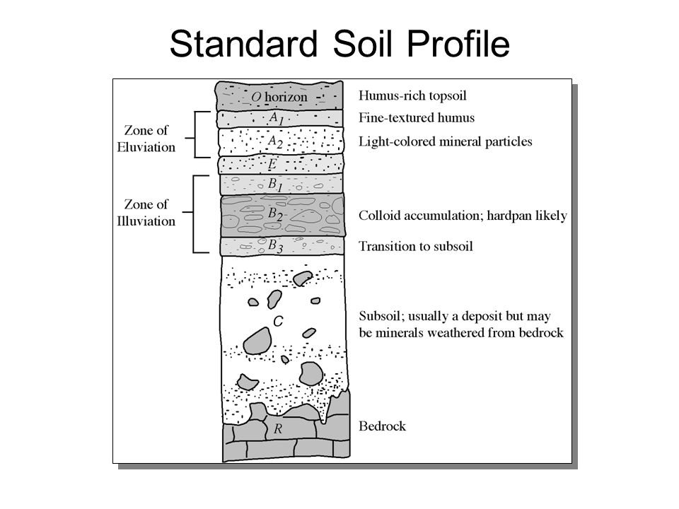 Geology study: soils – profiles, types