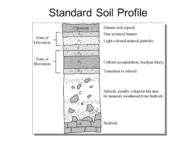 Geology study: soils – profiles, types